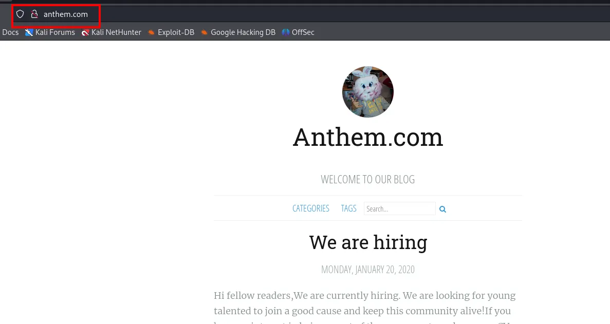 Simple CTF/EasyCTF — TryHackMe Write-up | by James Jarvis | Medium
