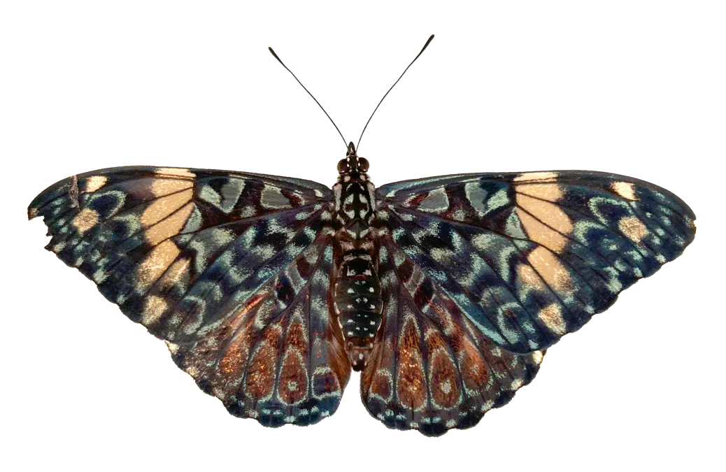 Asynchronous Postgres with Python, FastAPI, and Psycopg 3 | by Ben Shearlaw | Medium