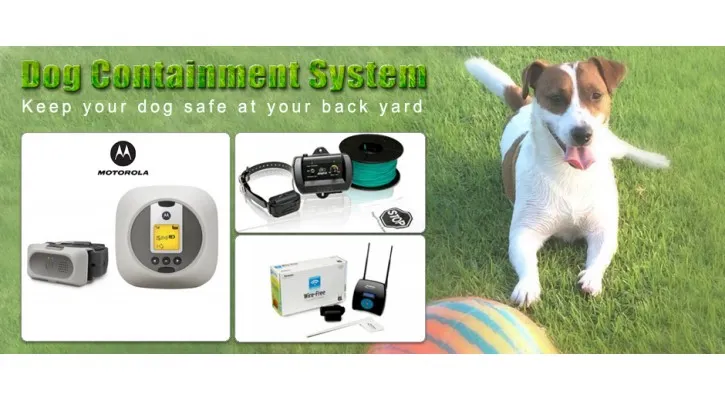 dog containment system. eDog Australia | by Jing Jackson | Medium