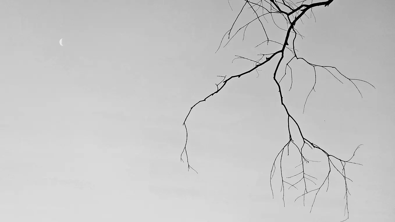 The Indispensable Man. a poem by Saxon White Kessinger | by Des Traynor ...