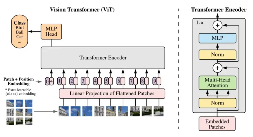 Building CLIP from scratch using PyTorch | Contrastive Language-Image Pre-Training | by Shubh ...