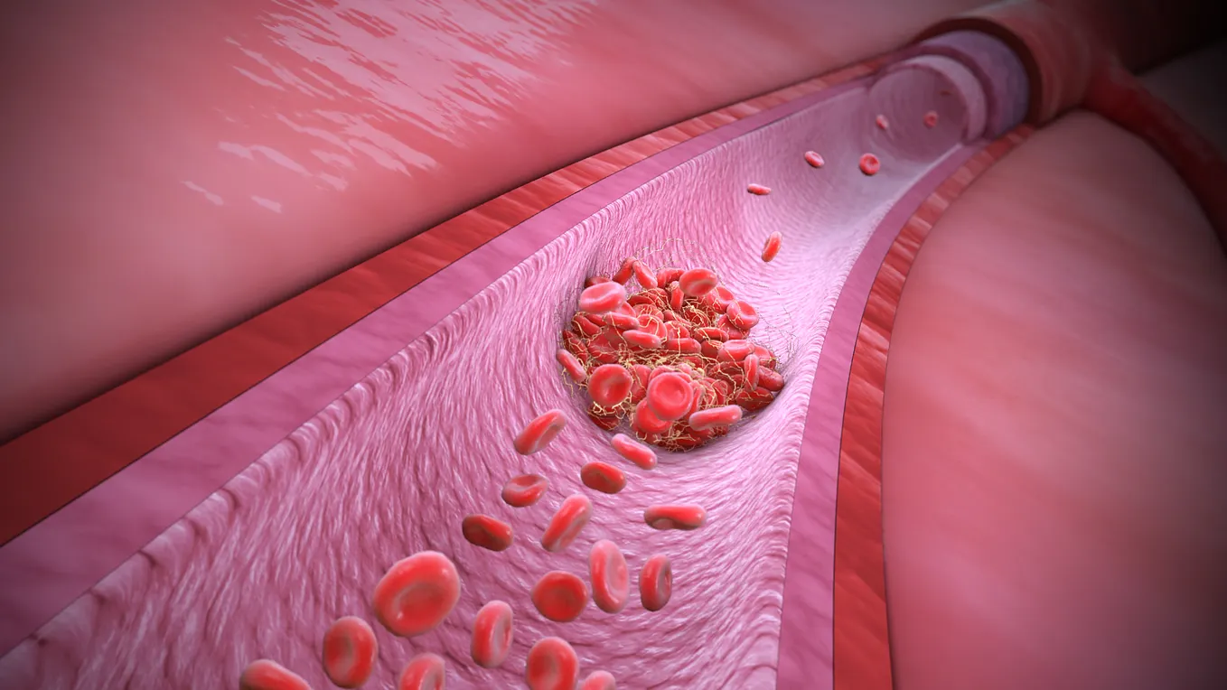 The Power of 3D Medical Animation in Enhancing Medical Education | by ...