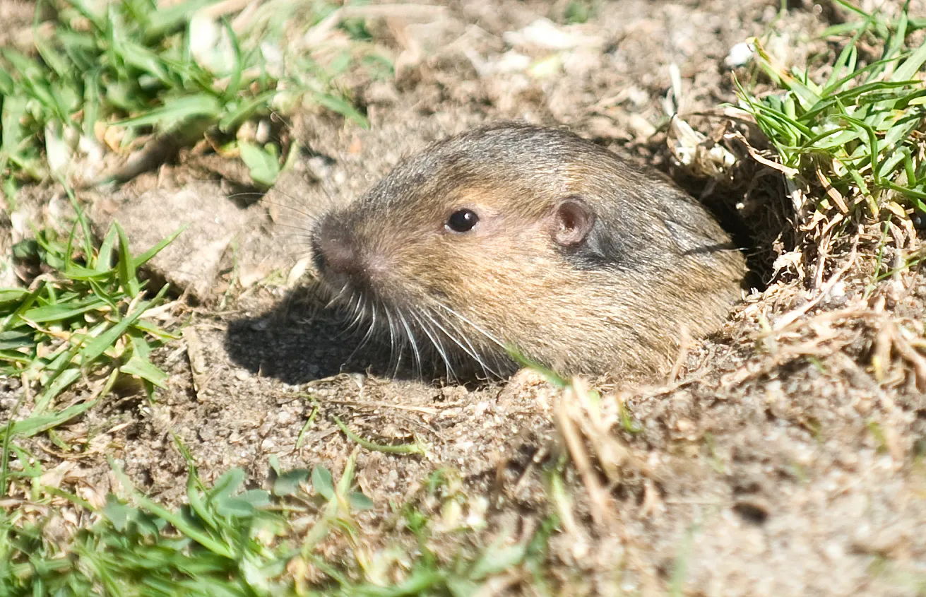 The Folder Structure of macOS: Everything You Need to Know | by Ali ...