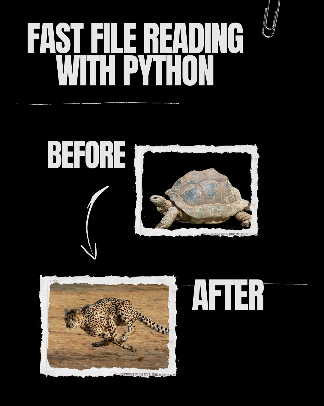 Python Match Case Statement Starting From Python 310 The Python By Caner Uysal Stackademic