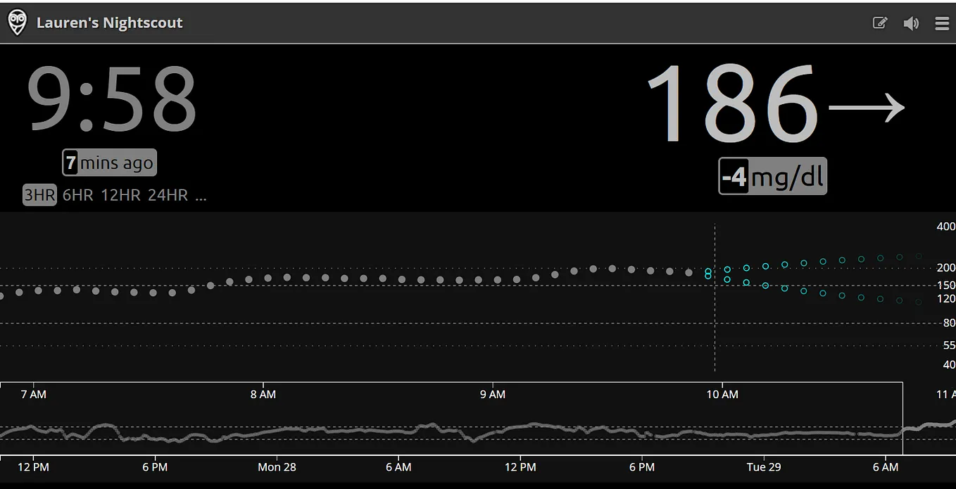 How to View CGM Data on a Garmin Watch or Bike Computer | by Lauren ...