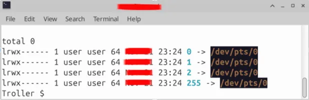 Mastering the Shell: Essential Bash Commands for Security Work | by Aj ...