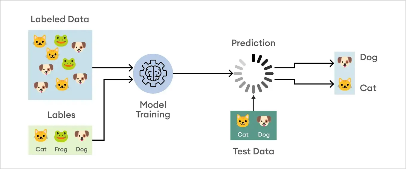 Implementing Dbscan Clustering Using Python And Scikit Learn By Ali Raza Medium