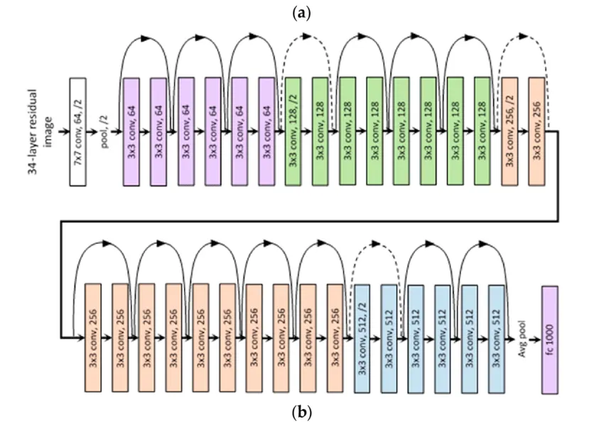 AlexNet Architecture Explained. The convolutional neural network (CNN)… | by Siddhesh Bangar ...