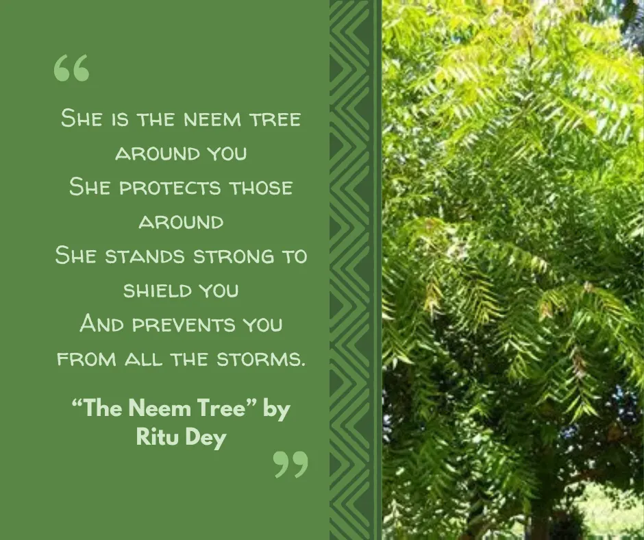 The Animal & the Prey. An Original Poem by S. Hassan | by S. Hassan ...