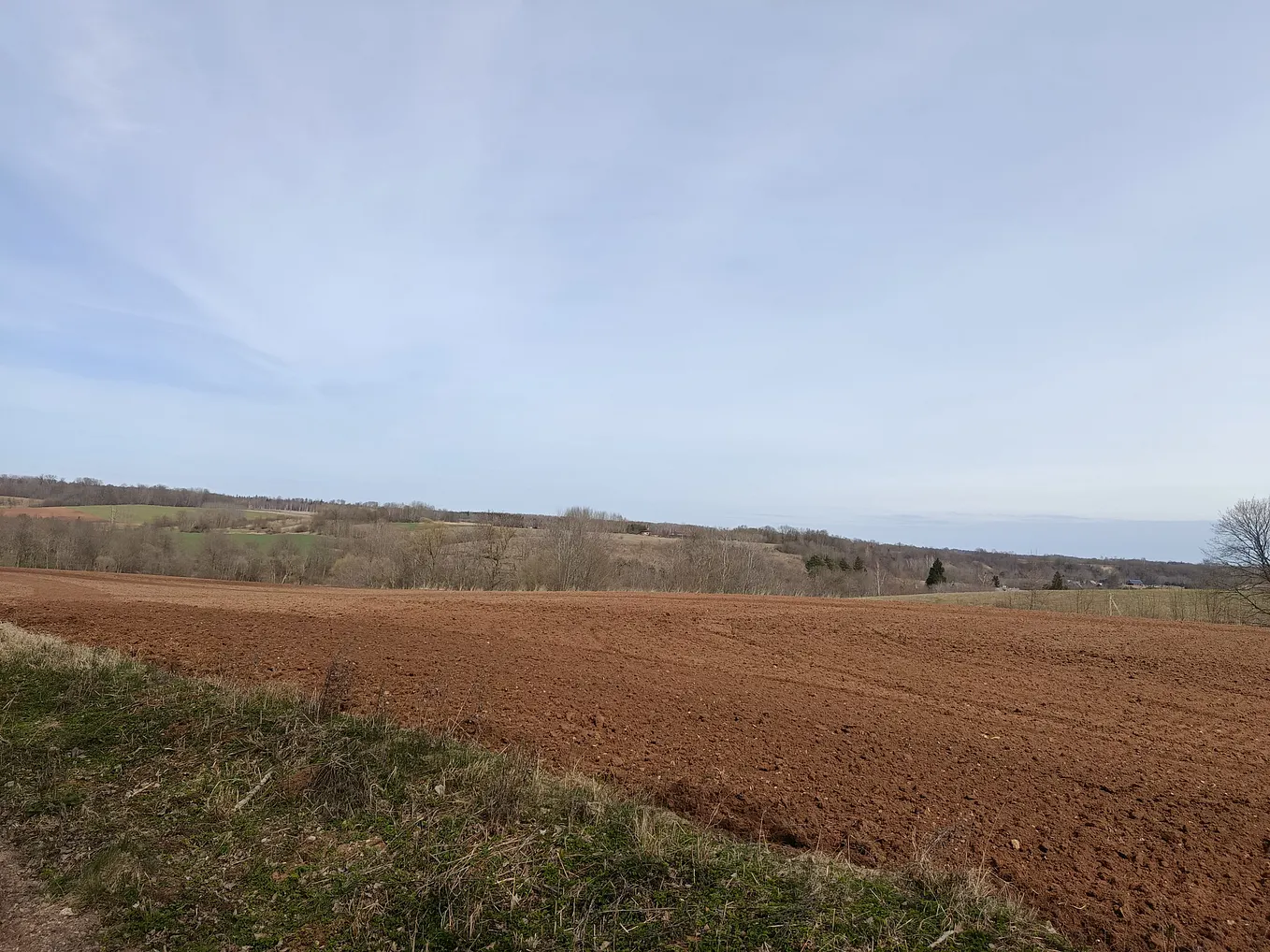 Implementation of i18n in the Vue 3 Composition API | by Katarzyna Kądziołka | Medium