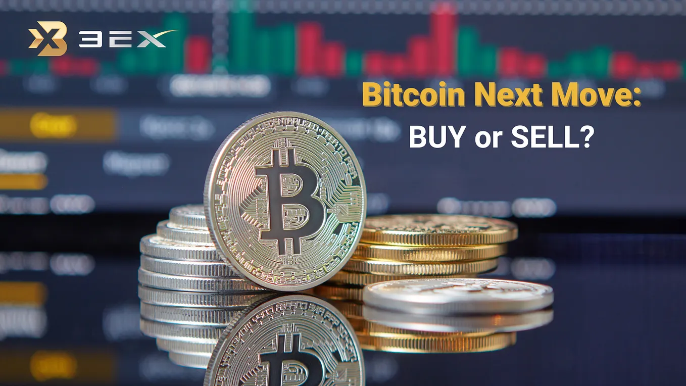 3EX Six Years of Brilliance, Embarking on a New Chapter | by 3ex | Medium