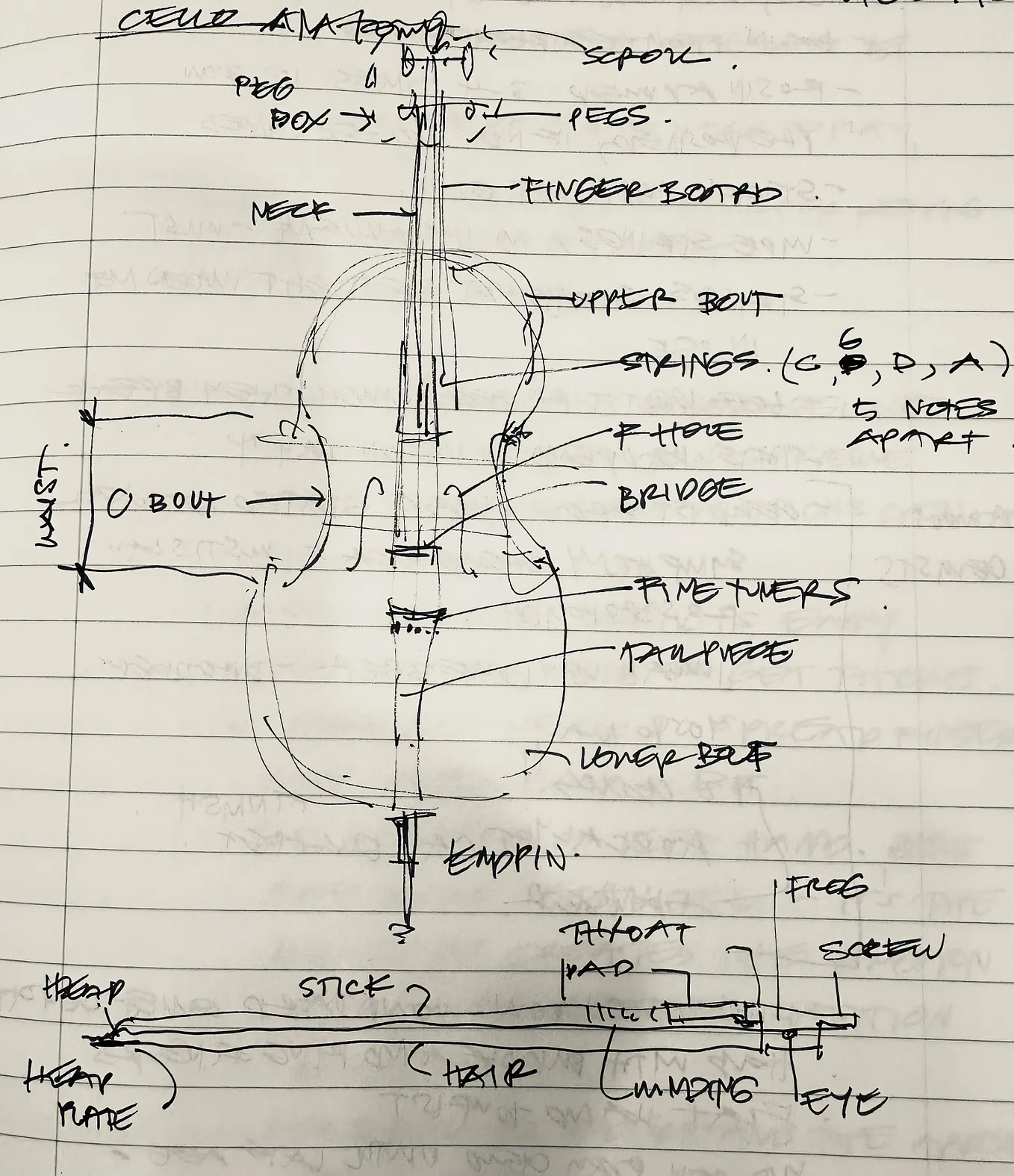 The Benefits of Listening and Playing Music | by Leigh Stringer | Medium