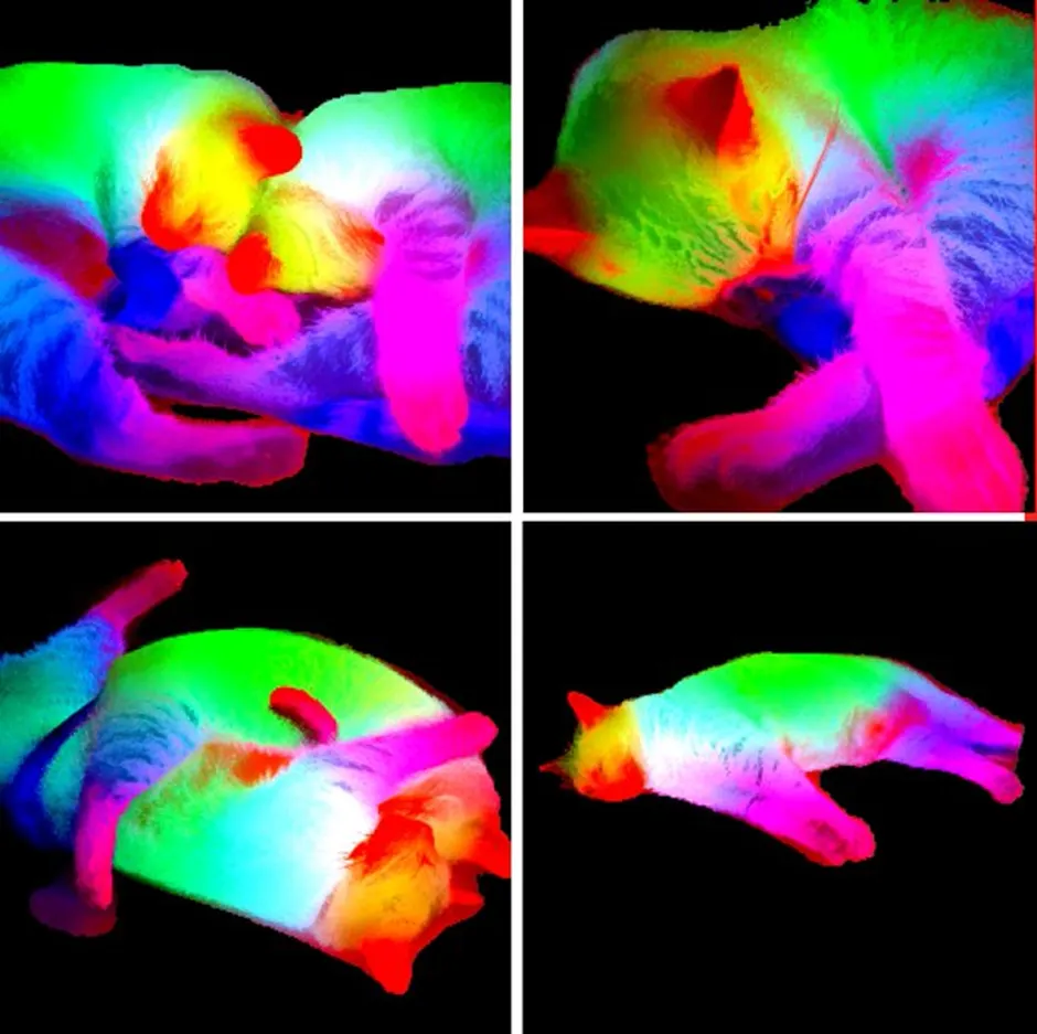 Point Pillars (3D Object Detection) Through Explanation with Code | by Abdul Haq A. Paracha | Medium