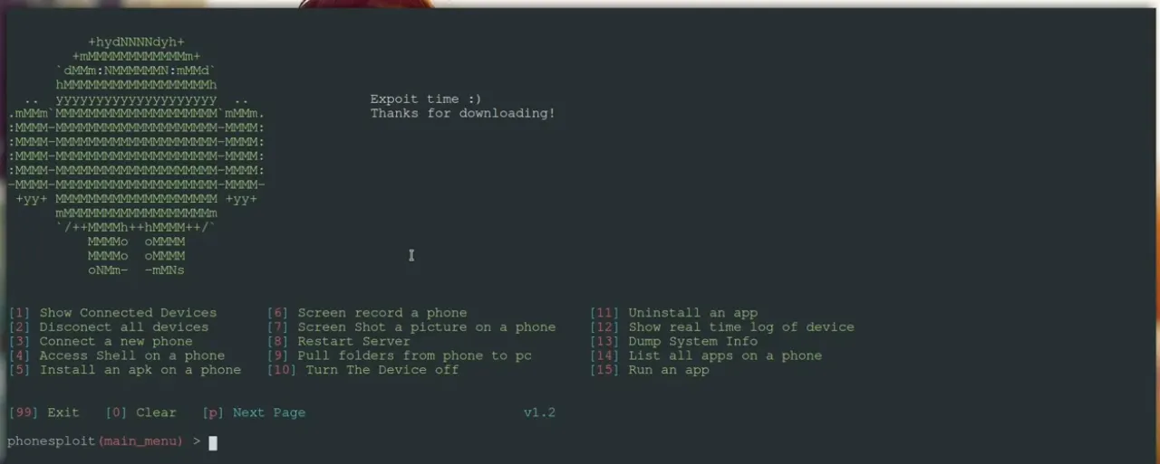 Install and Use ParamSpider (a parameter miner) | by n00bie | Medium
