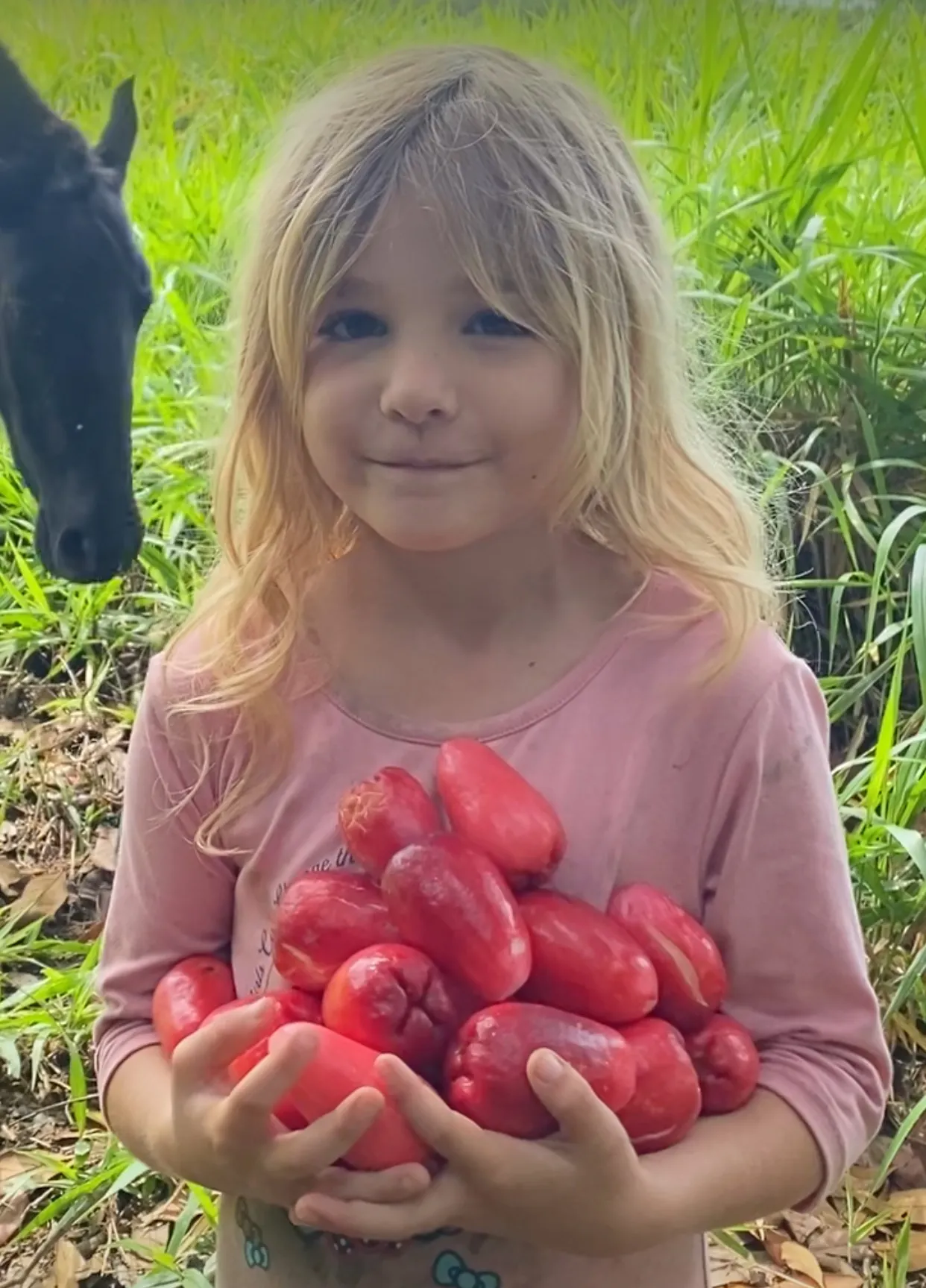 Cas: The Tart and Nutritious Costa Rican Fruit | by ...