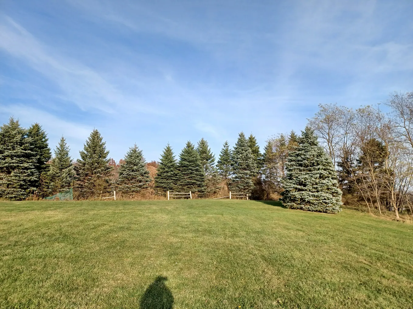 Divert, Deny, Delay, - D L Henderson - Medium