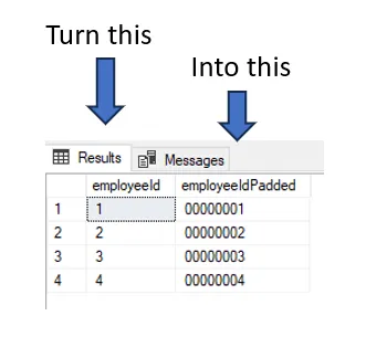 SQL Server Loop Example. How to run a loop in SQL, using MS SQL… | by ...