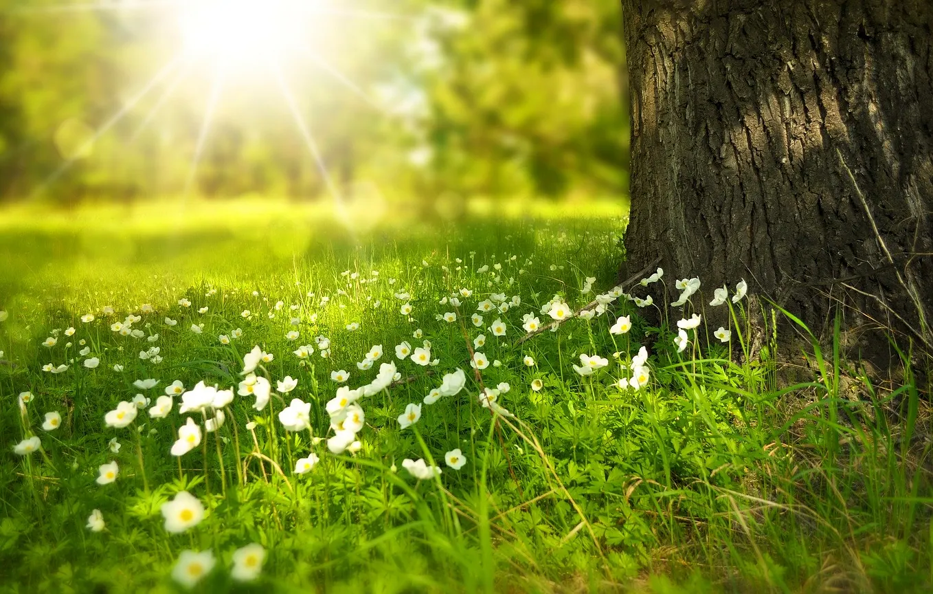 Why ephemeral and immutable infrastructure is so important in Cloud ...