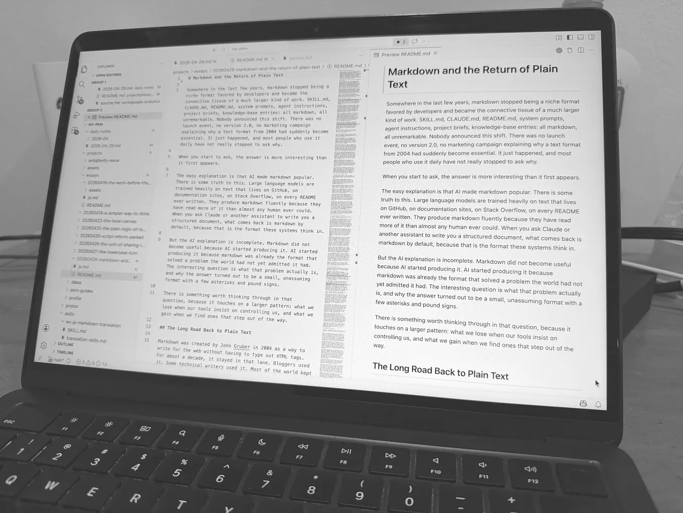 Markdown vs Plain Text. The freedom of silence, or the freedom… | by ...