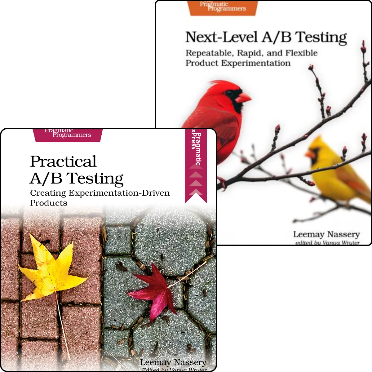 What Happened to PragProg Books on Medium? | by Margaret Eldridge | The ...