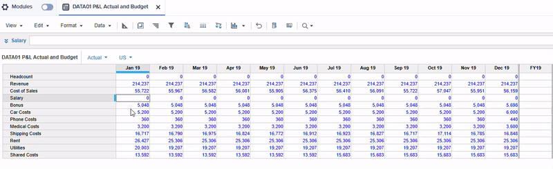 Anaplan Data Views. How you look at data changes… | by Seyma - Anaplan ...