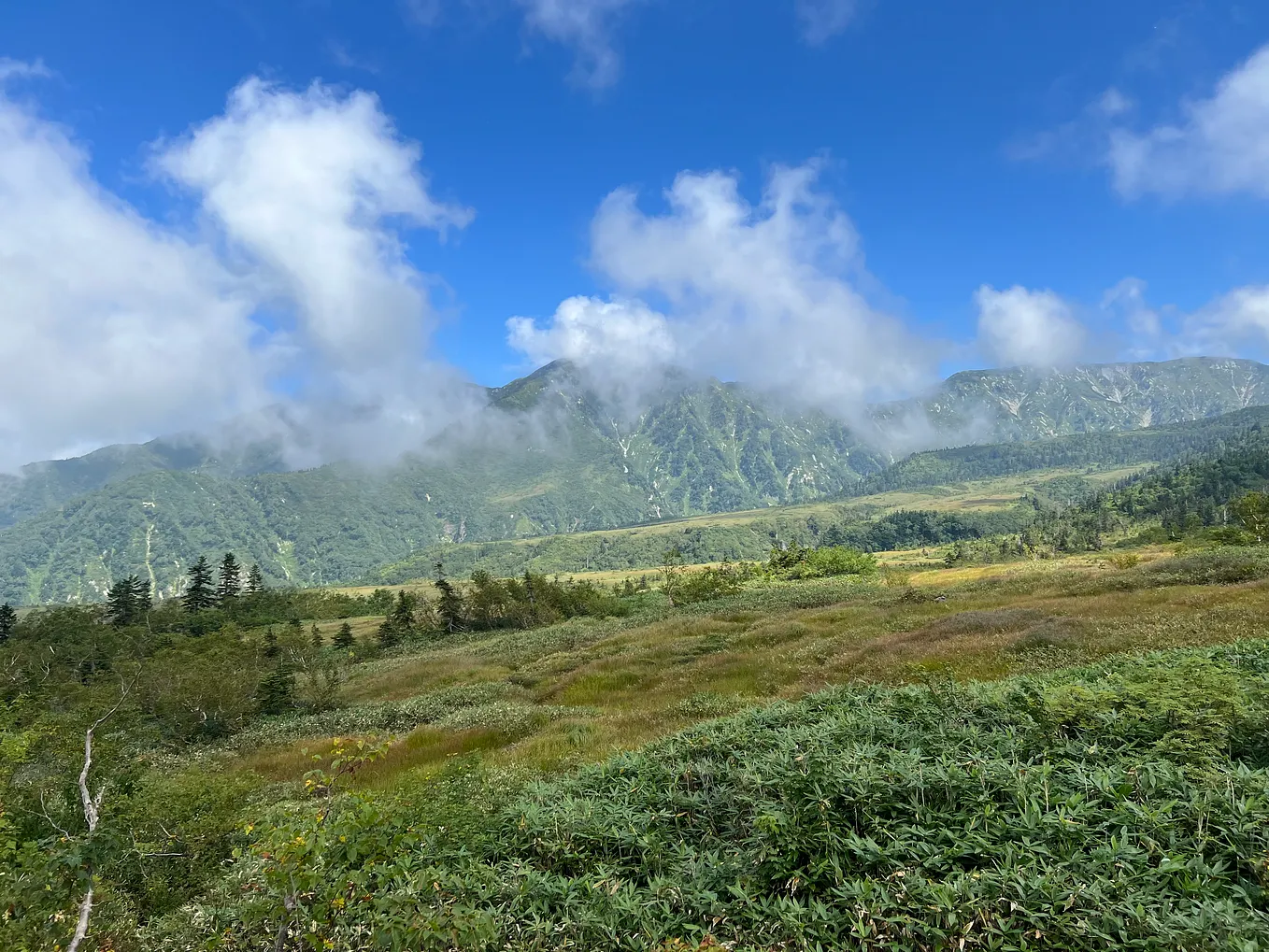 Leetcode 416 Partition Equal Subset Sum By Nikhil Jain Medium 0925