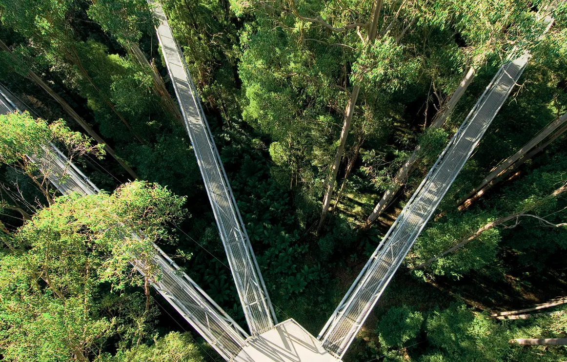 Integrating Cosmos DB into Gremlin-Visualizer: Enhancing Gremlin-based Graph Exploration | by ...