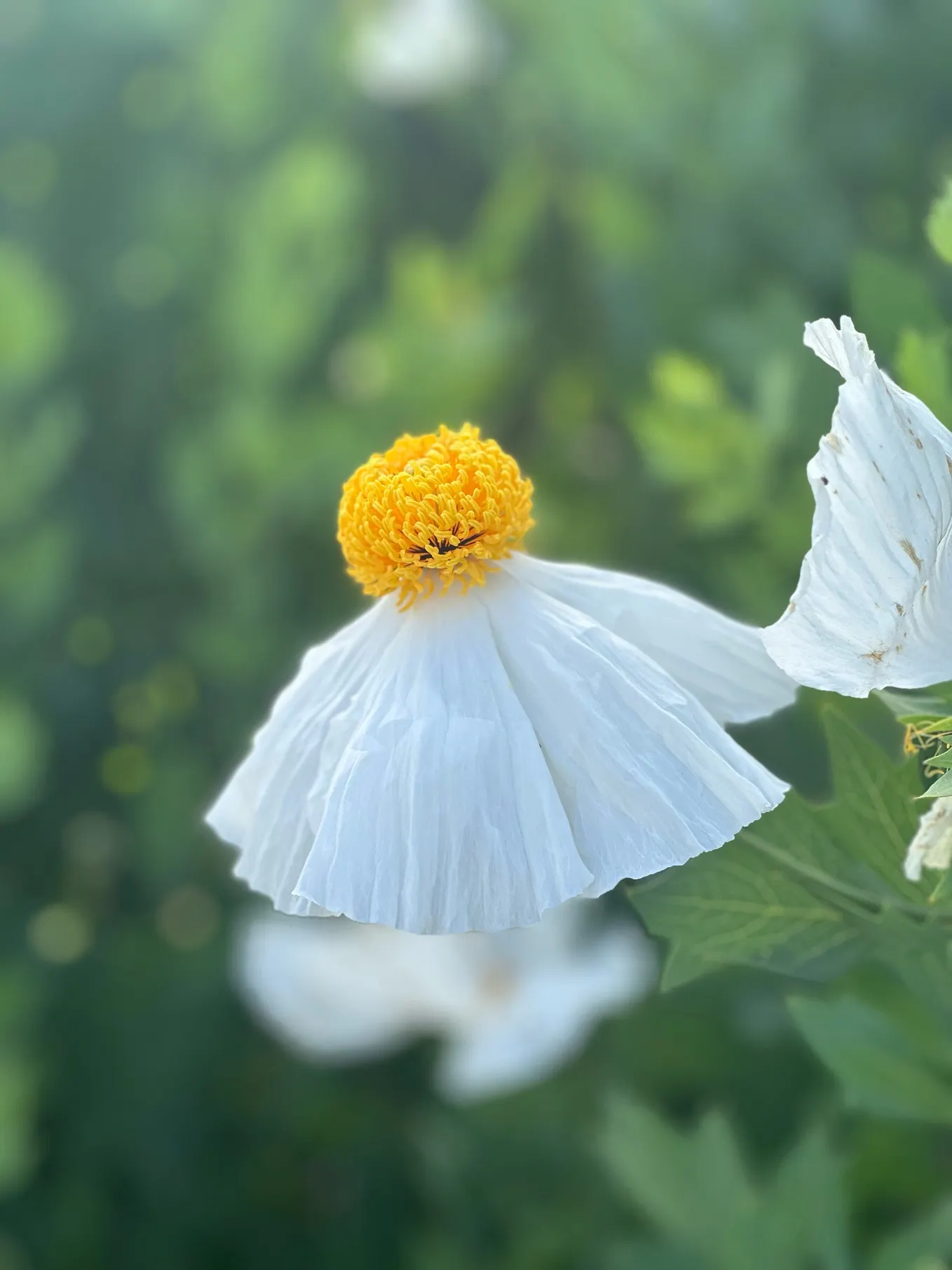 Why Japanese Innovations Consistently Set the Standard for Quality and ...