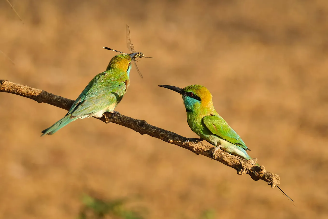 Step By Step How To Unit Test Your Nextjs App With Jest And Typescript By Maisha Supritee