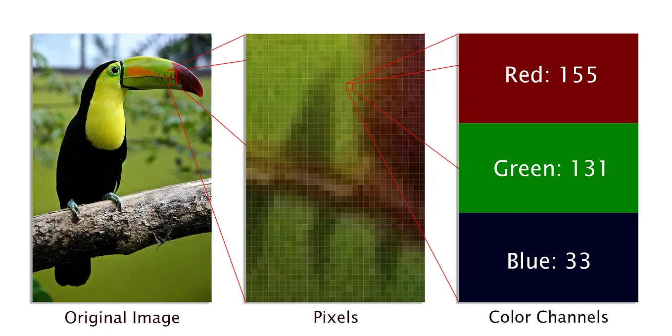 Computer Vision for Busy Developers | by Vinny DaSilva | Medium