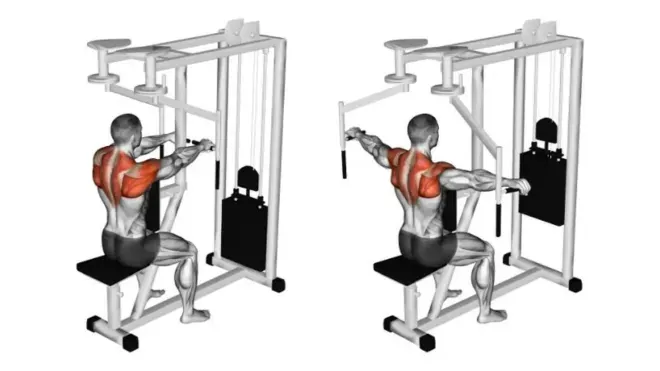Upright Row Muscles Worked: A Comprehensive Guide | by FIT LIFE REGIME ...