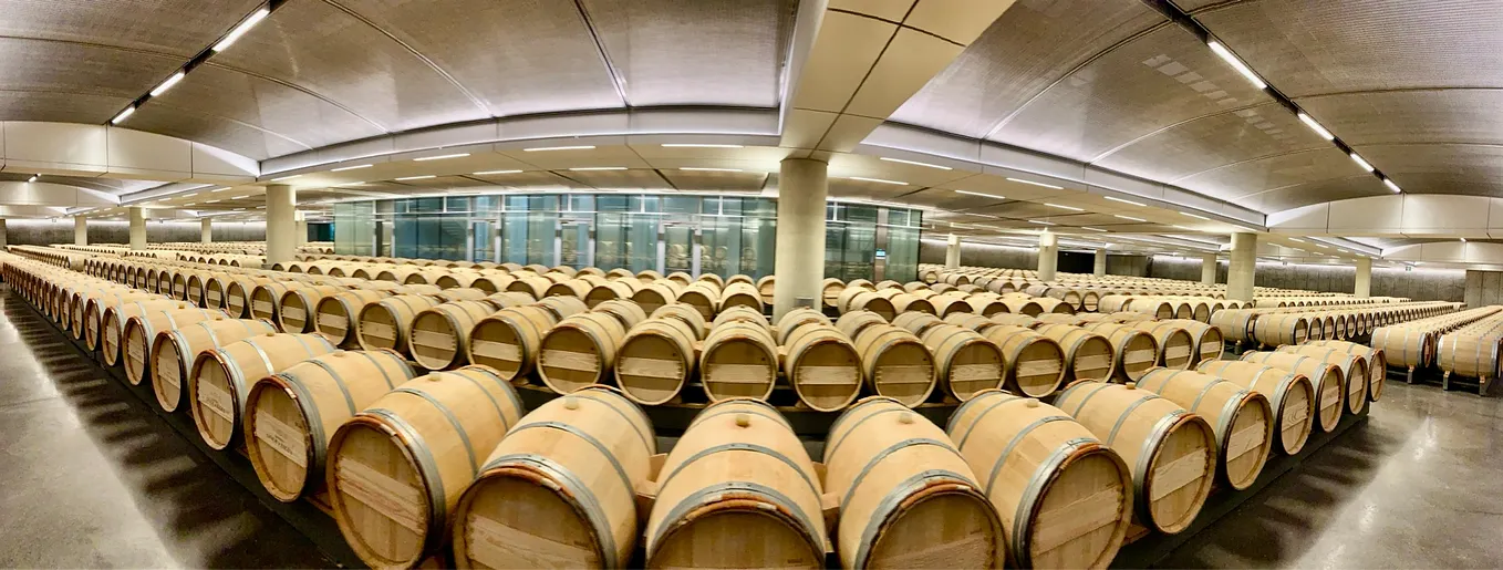 From Ocean To Plate : The True Spirit Of Japanese Sushi | by anak_mecen | Nov, 2025 | Medium