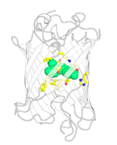DeNovo Protein Binder Design Using BindCraft Part II — You have your ...