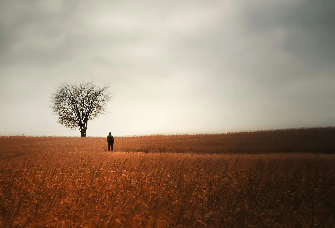 10 Inspiring Ways to Get the Best Out of Life | by Bridget Webber ...