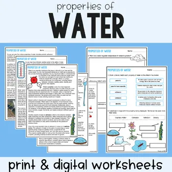 Protein Synthesis Guided Practice Worksheet: Laney Lee - Laney Lee - Medium