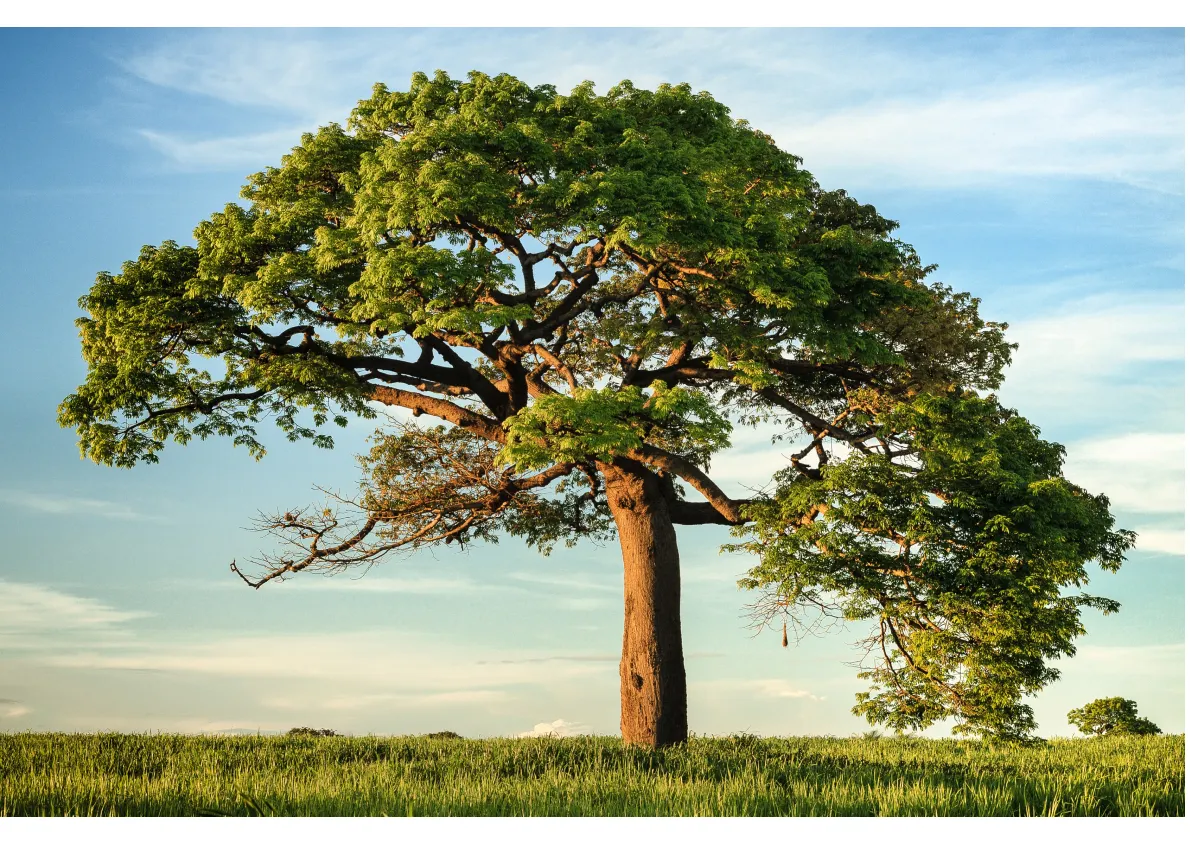 Hexagram 15: A Simple Look at I-Ching — Humility and modesty | by I ...