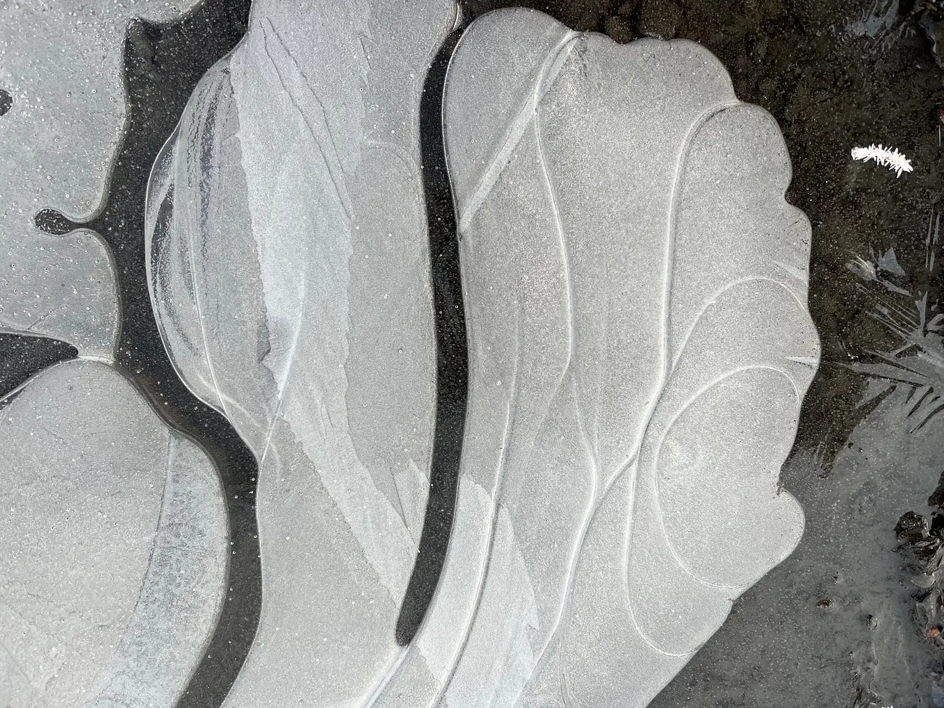 Api Testing With Playwright And Openapi Generated Types By Adam Pajda Medium