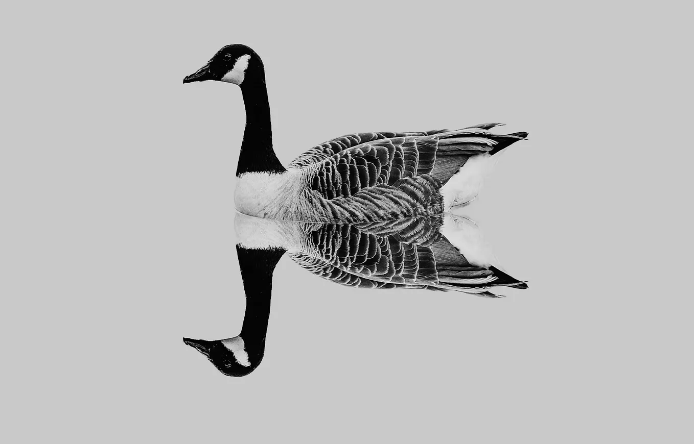 Metaxy…. The Order of Being and In-Between… | by Richard Schutte | Medium