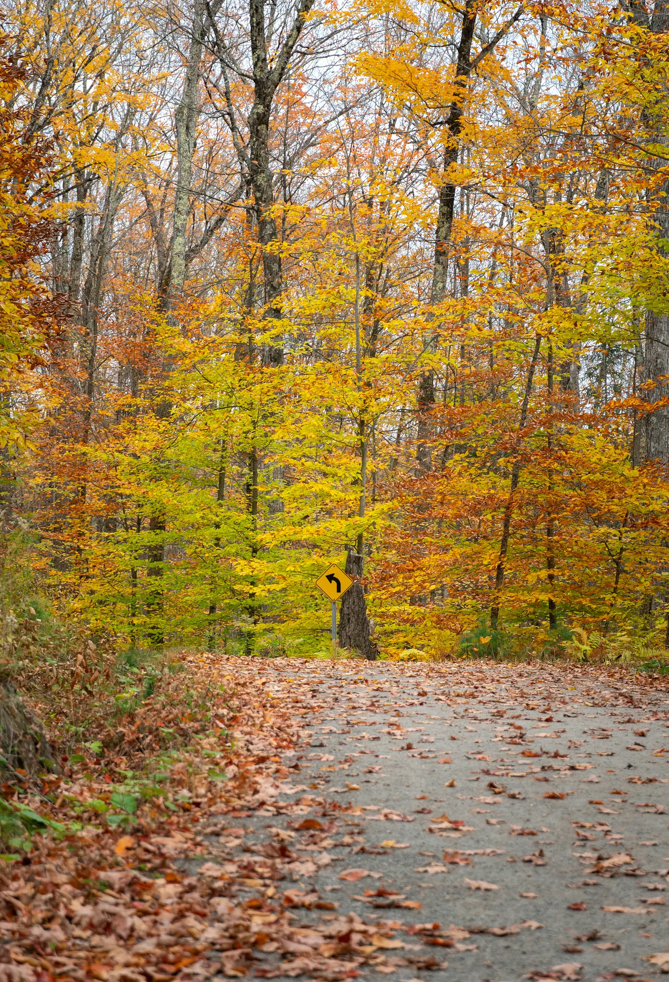 Completion Of The Old Is About To Meet The New! | by Gregory Reece ...