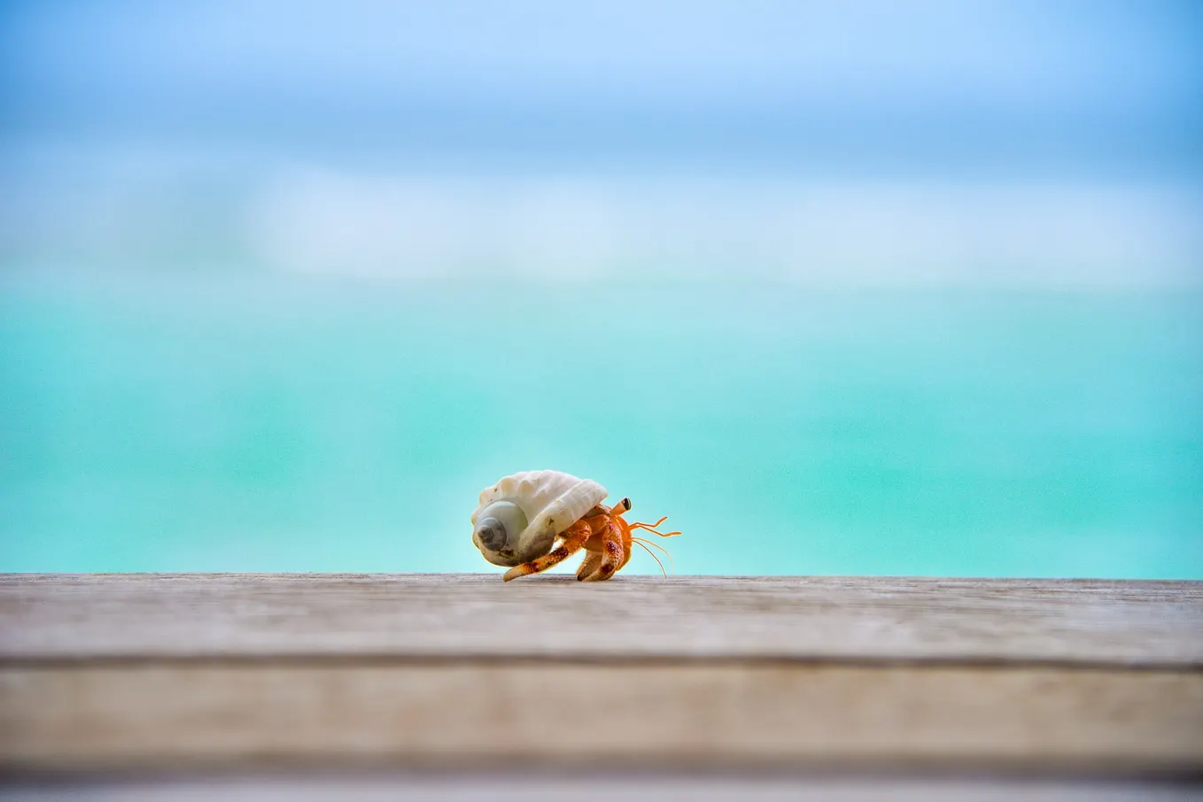 Manage Java Versions with jEnv. Master your Java Environment | by ...