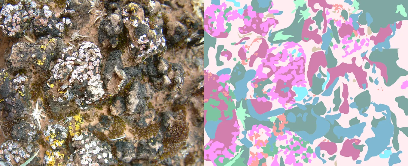 How to Evaluate Semantic Segmantation Models | by Stefan Herdy | Medium