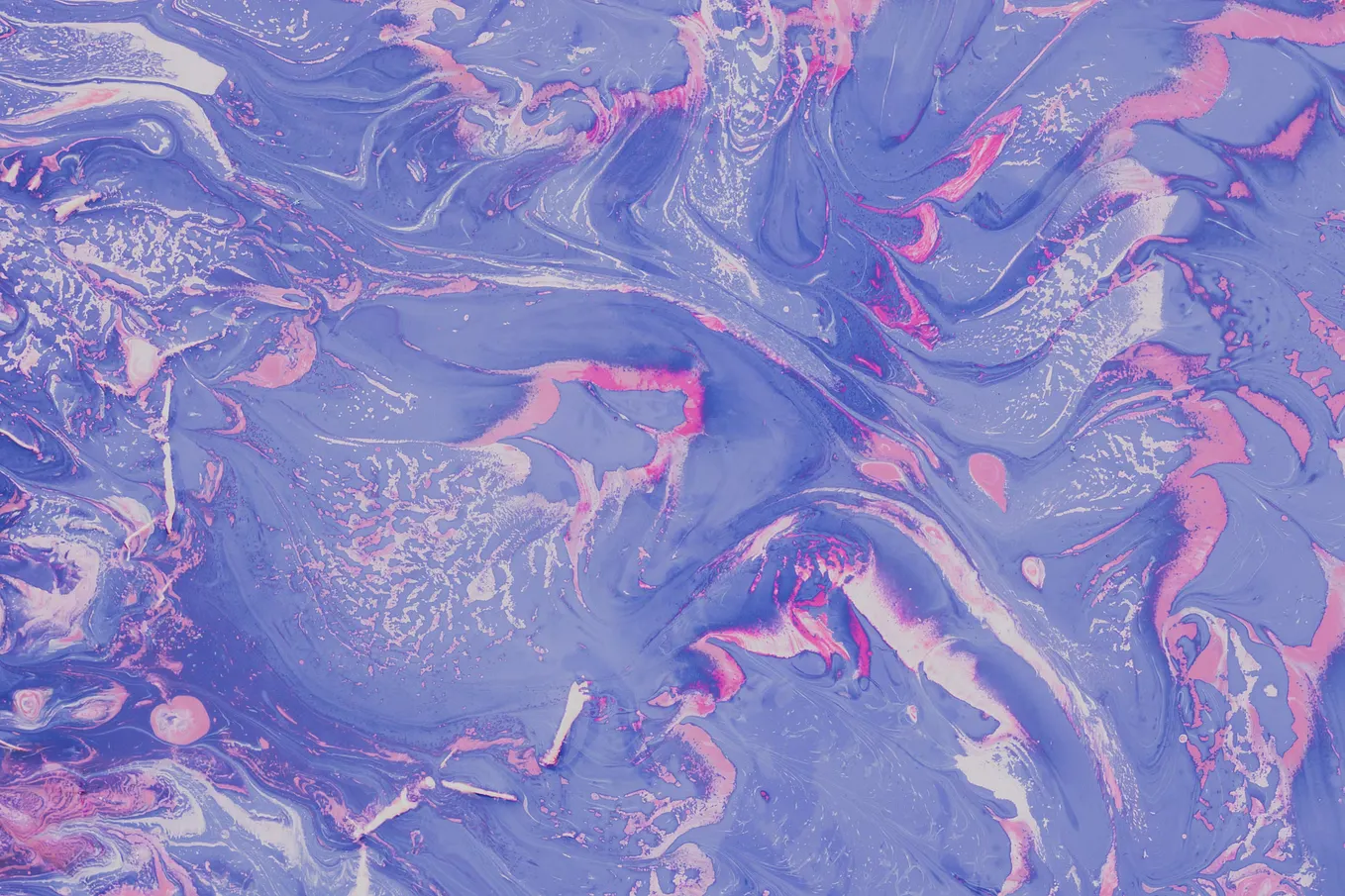 Best next.js folder structure 2025 | by Albert Barsegyan | Medium