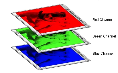 10. Introduction to Deep Learning with Computer Vision— Types of ...