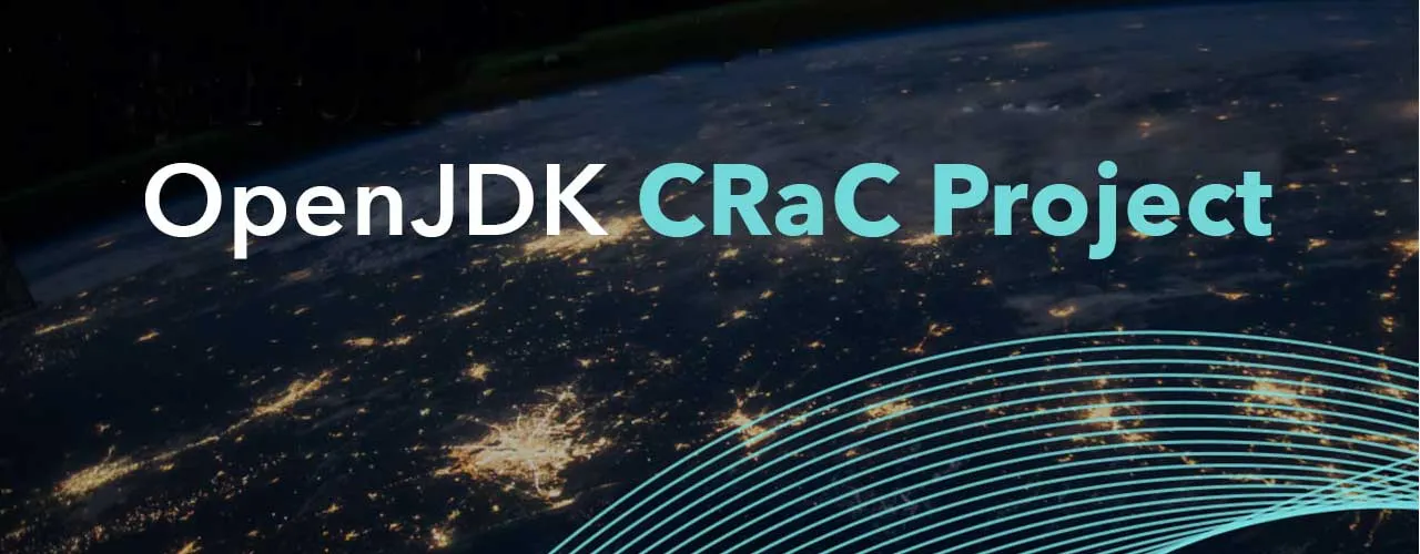 Advanced OpenAPI Customization: Type Mappings and Interface Implementation in Spring Boot | by ...