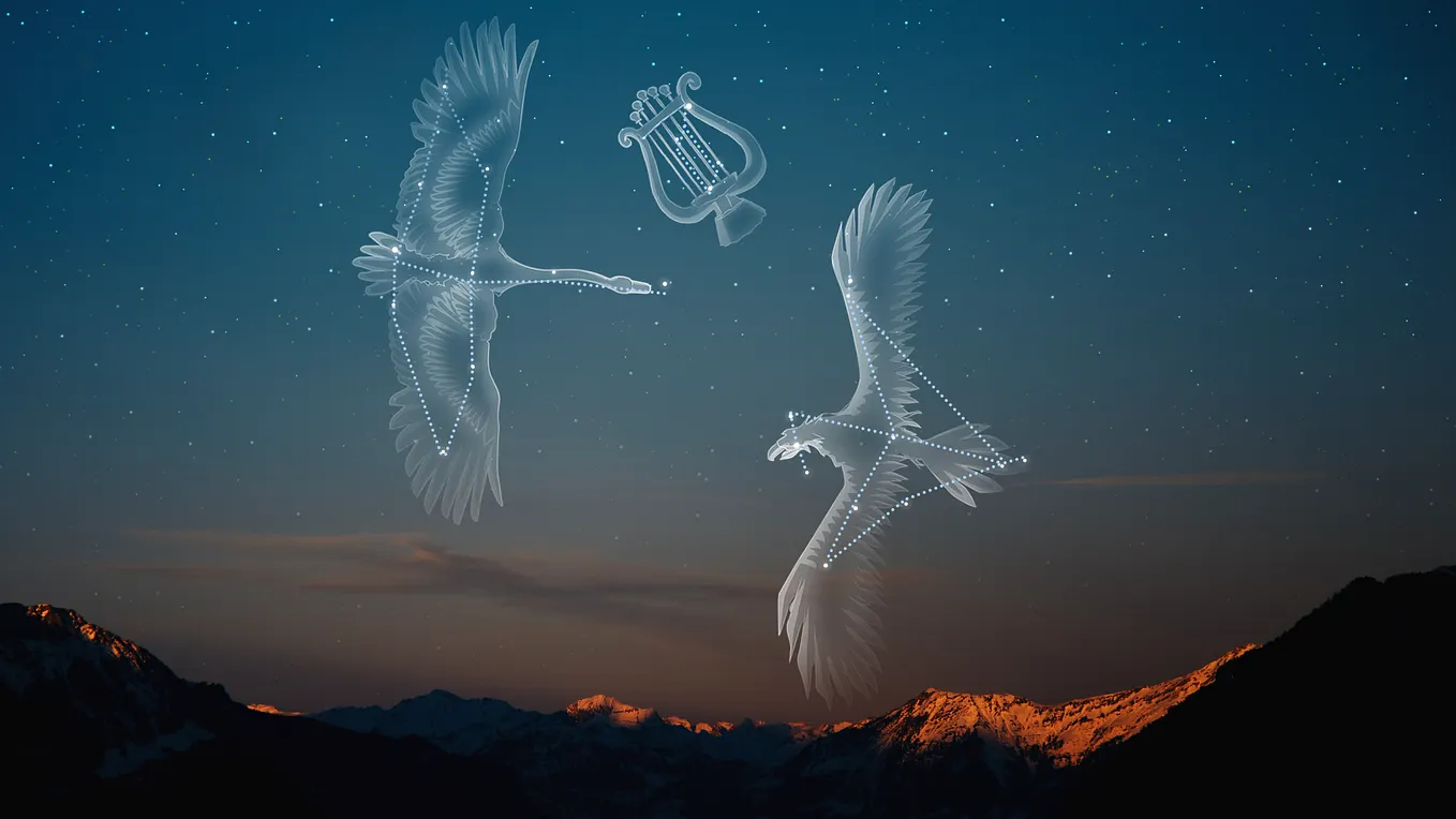 Circumpolar Constellations: Visible All The Year Round | by Star Walk ...
