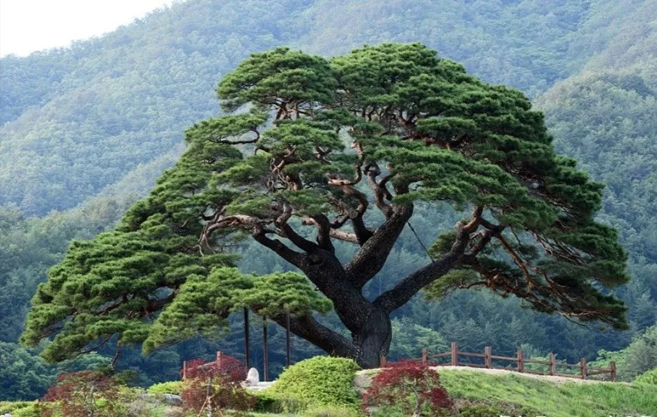 How To Evaluate The Performance Of Clustering Algorithms Using Silhouette Coefficient By 9266