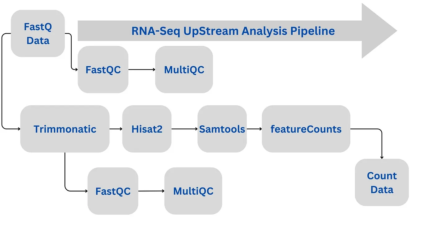 Automating RNA-Seq Downstream Analysis with DESeq2 and ClusterProfiler ...