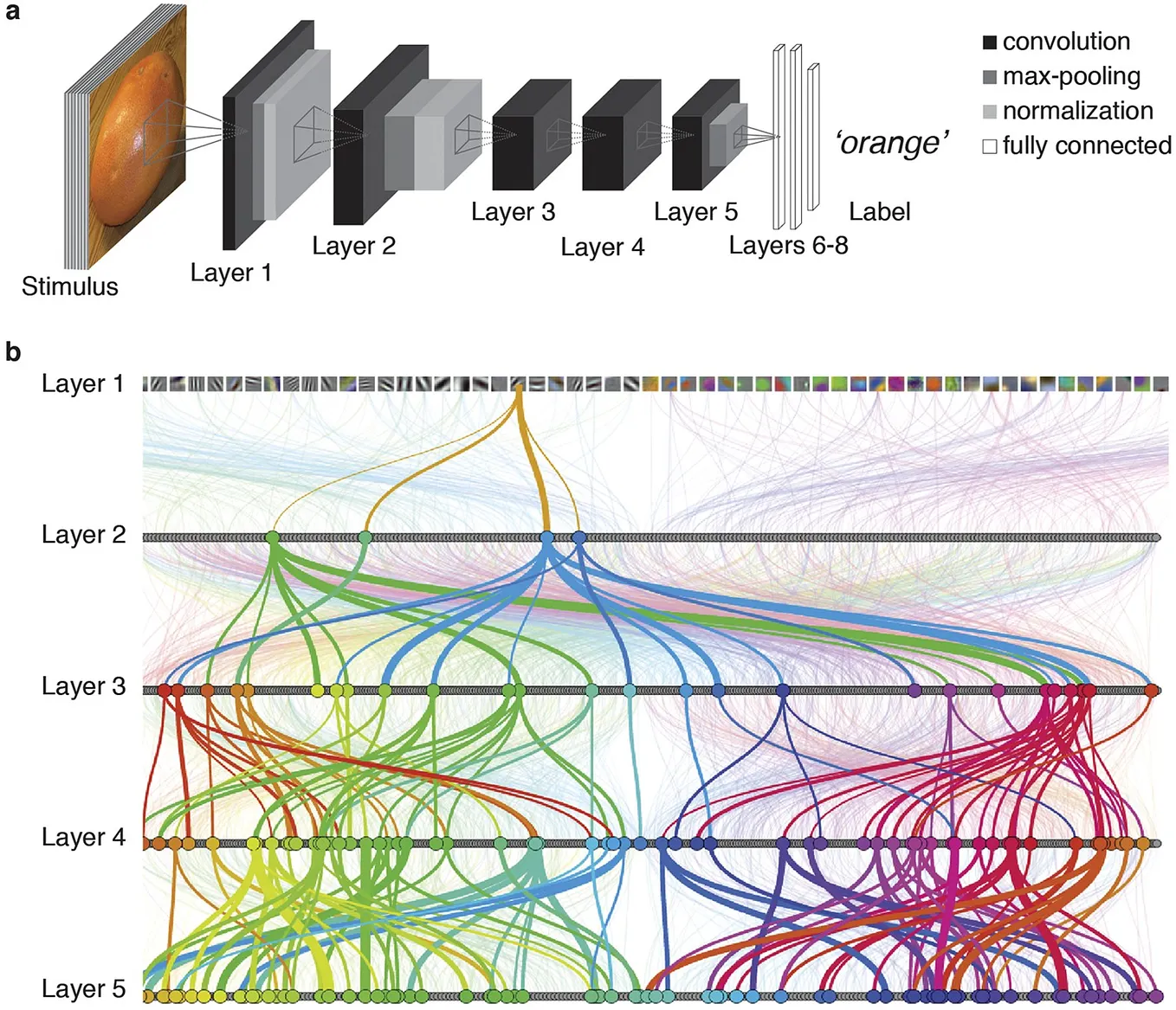 Basic Operators Variables And Data Types In Python A Beginners Guide By Ai With Lil Bro