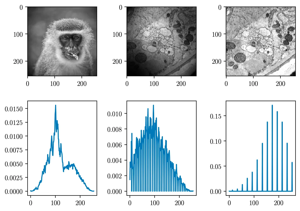 Image Enhancement with Python. Image enhancement is a fundamental… | by ...
