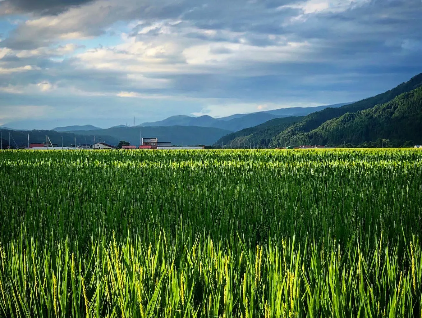 Fill and full.. Or somewhere in-between. | by Kiwi Yamabushi | Daily ...